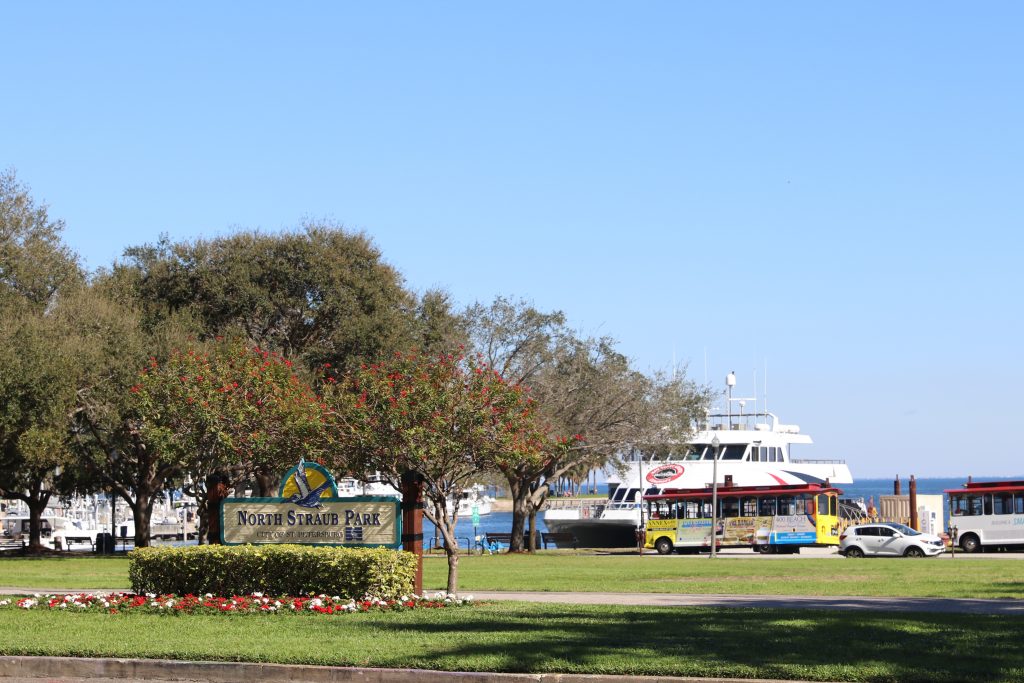 A Guide to Downtown St. Pete's Parks - Beach Drive